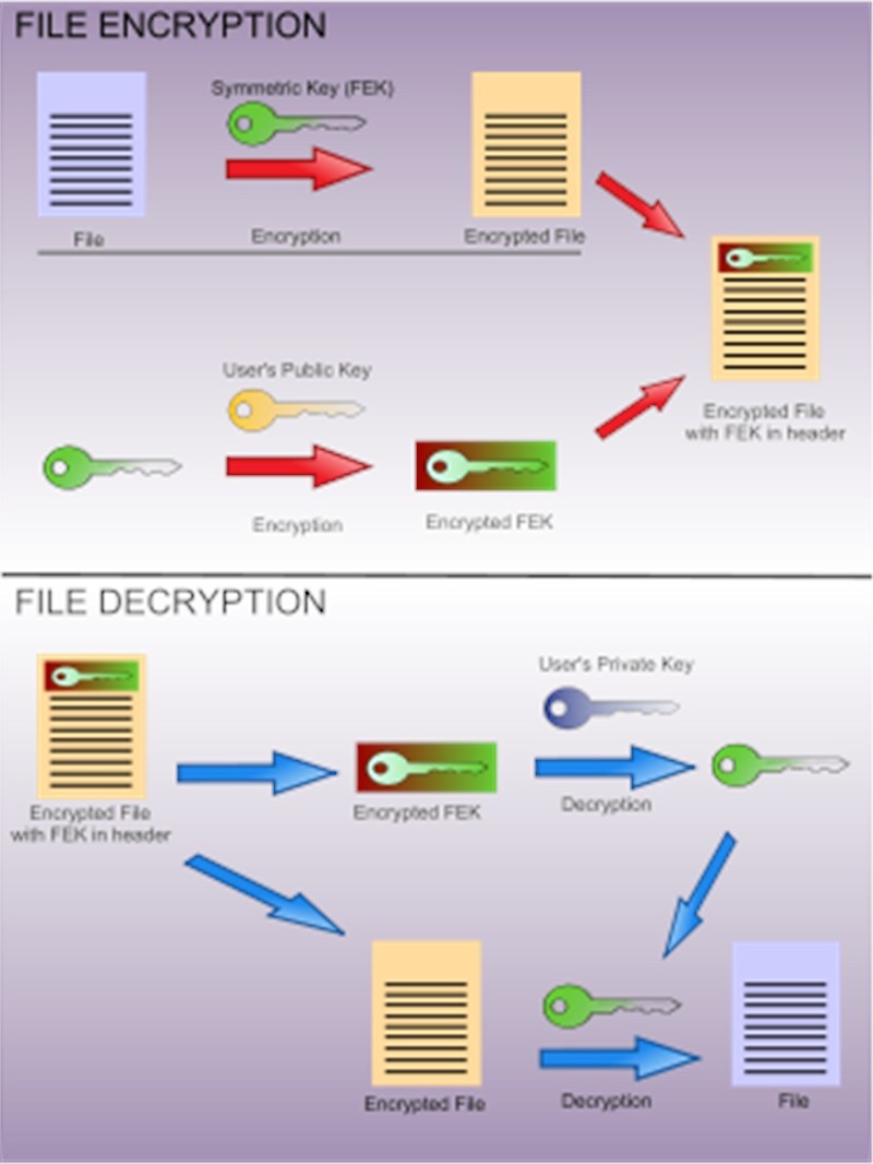 Encryption Software Market Worth $20.1bn by 2025